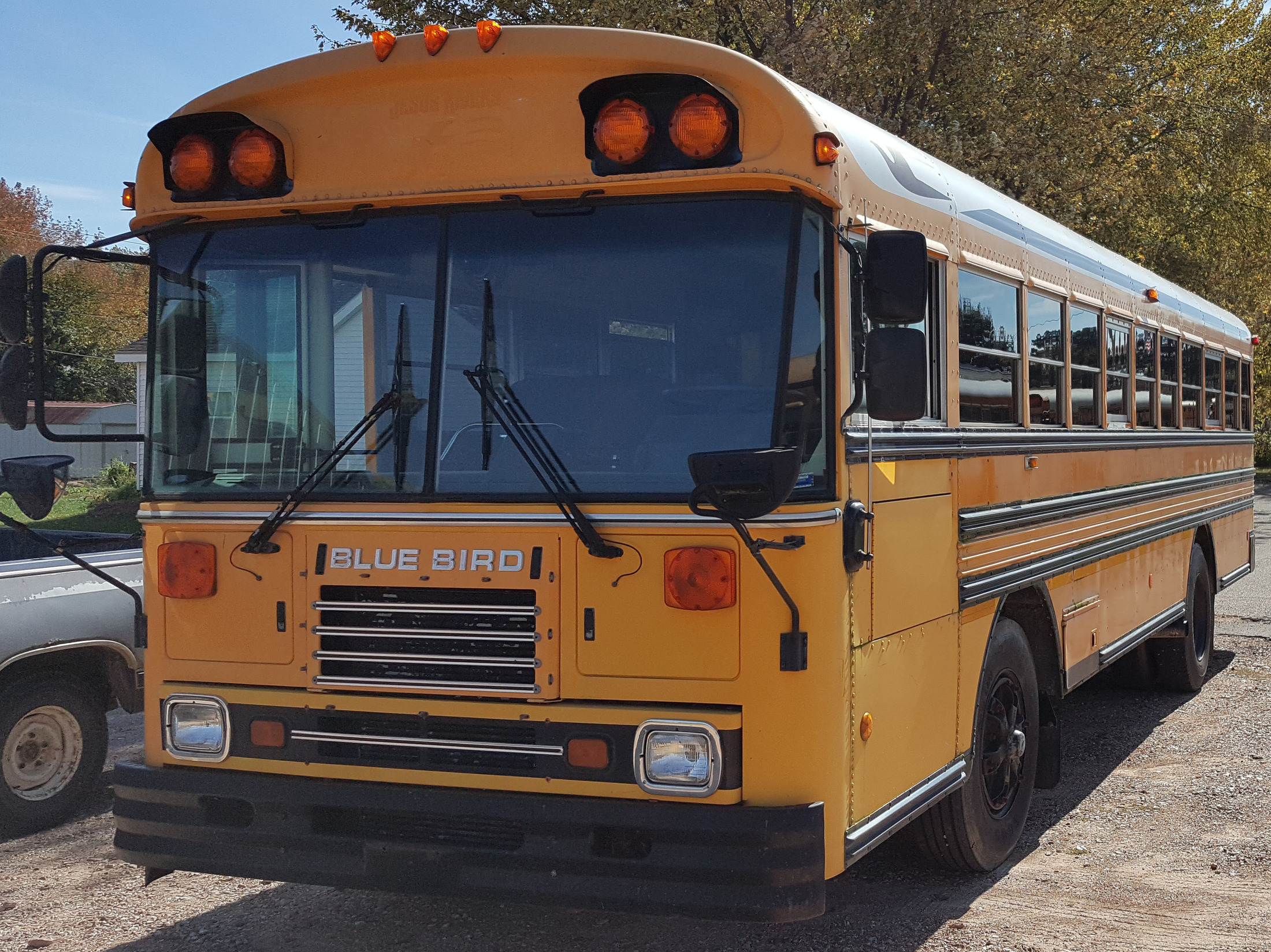 1997 Blue Bird TC2000 - Gutted & Prepped - Skoolie Livin | School Bus Conversion Community ...