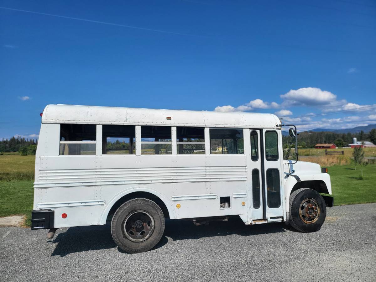 1983 International S Series 1753 Vintage - Skoolie Livin | School Bus ...