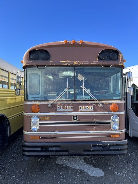 1987 Converted Blue Bird School Bus - Skoolie Livin | School Bus ...