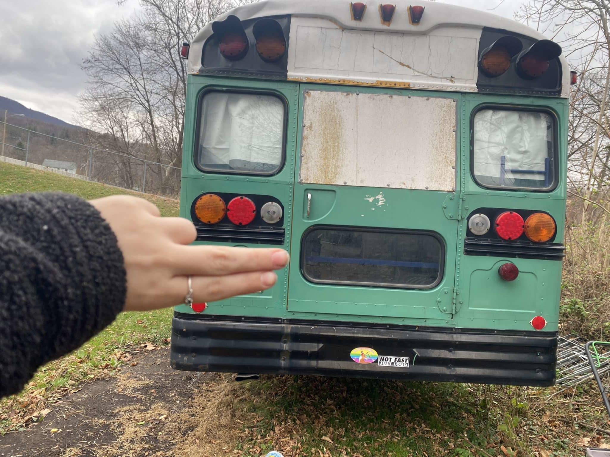 1995 Bluebird International 3800 - Skoolie Livin | School Bus ...