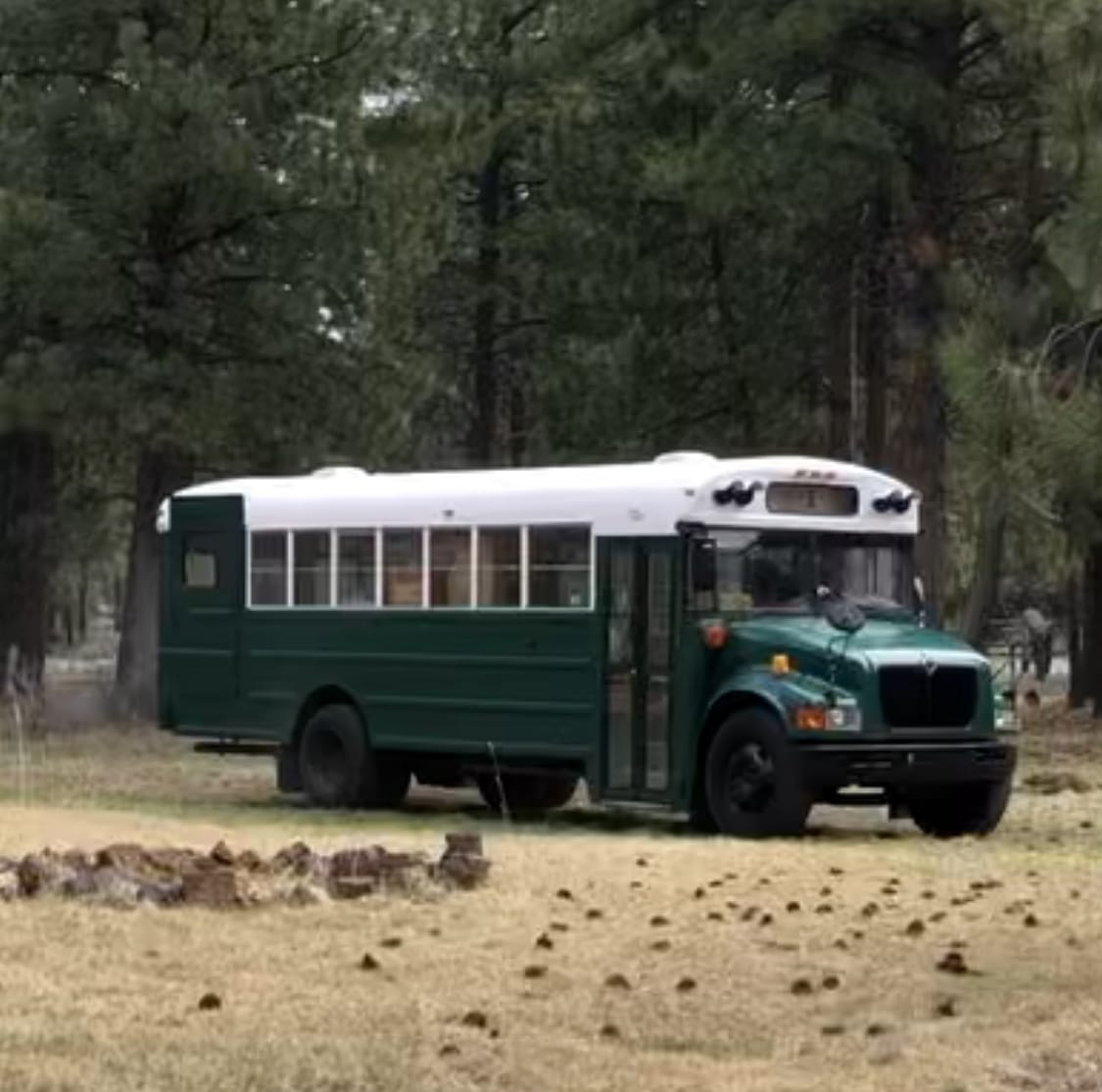 2001 International 4700 DT 466E - Skoolie Livin | School Bus Conversion ...