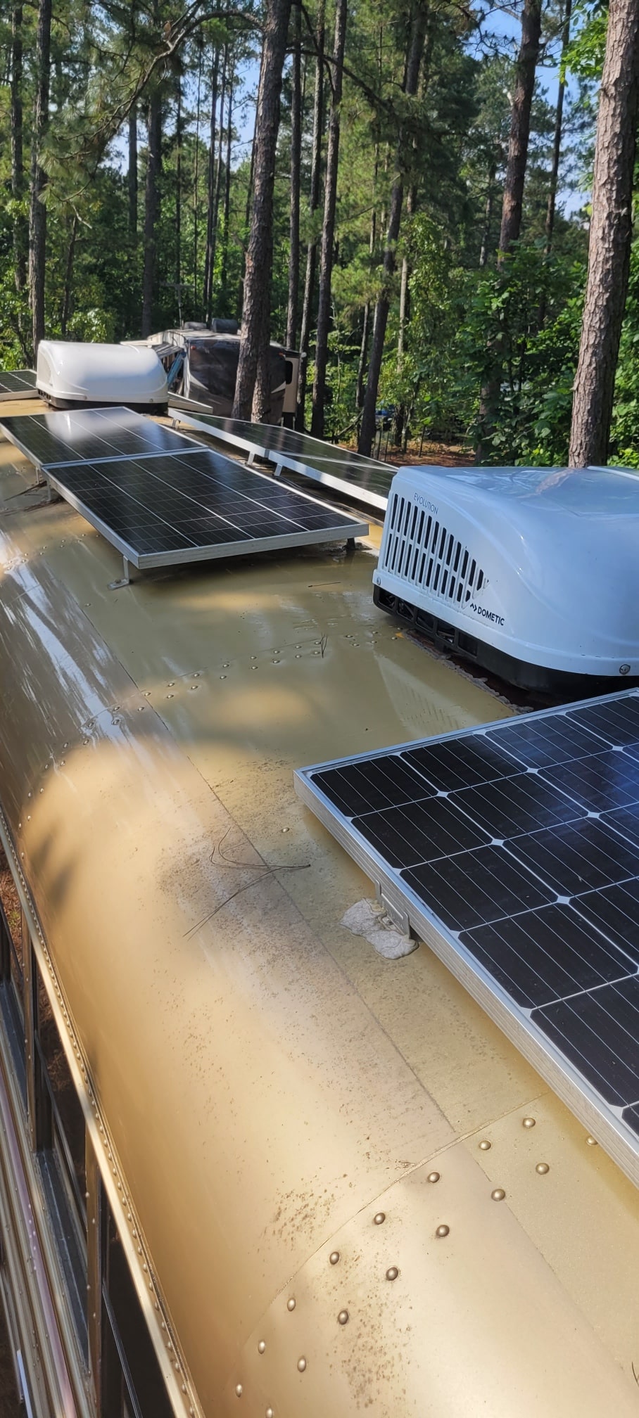 2006 international CE 200 - Skoolie Livin | School Bus Conversion ...